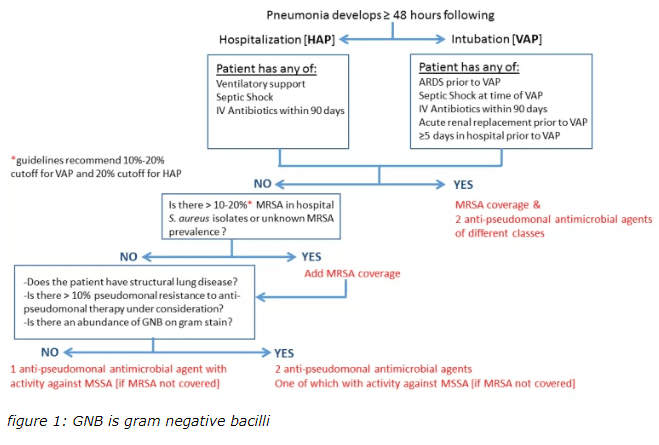 HAP vs VAP treatment: a flowchart | Surgical Focus