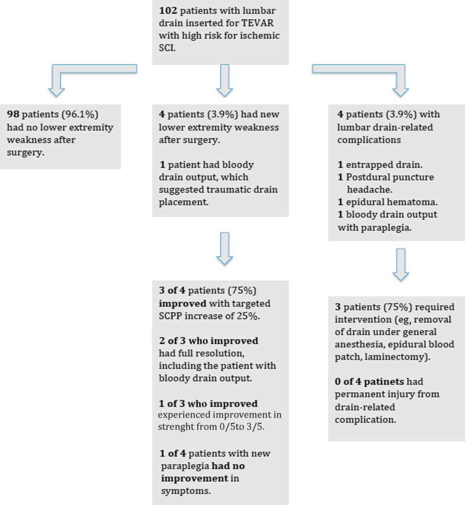Spinal Cord Ischemia | Surgical Focus