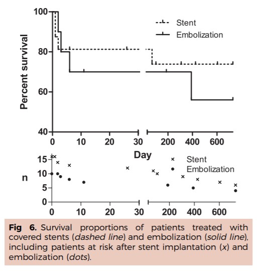Therapeutic Embolization | Surgical Focus