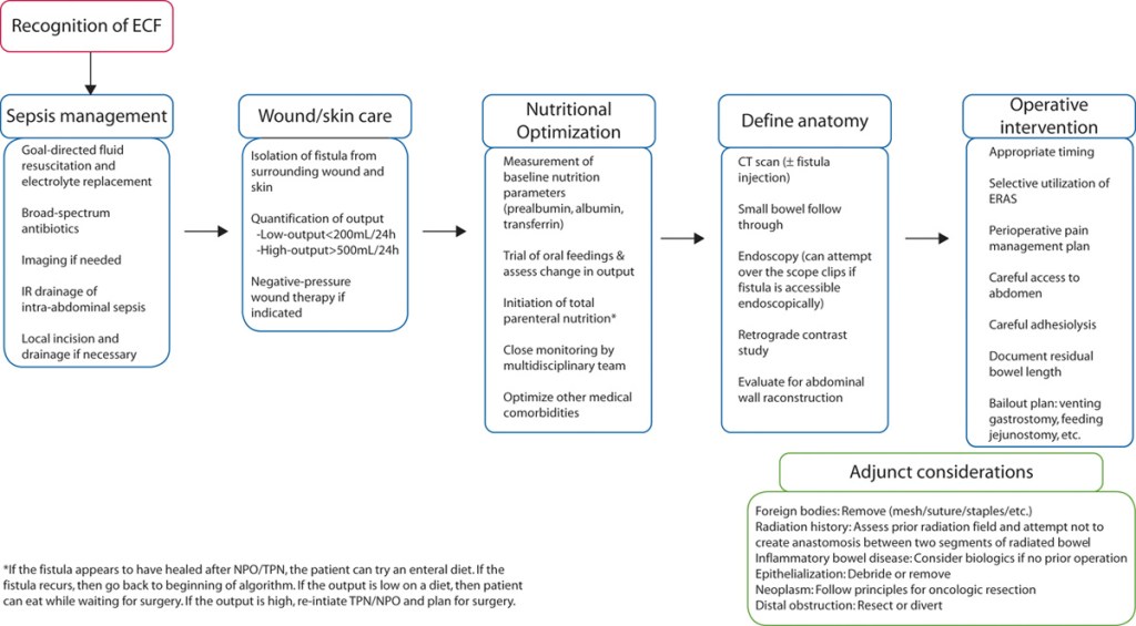 Management of enterocutaneous fistulas | Surgical Focus