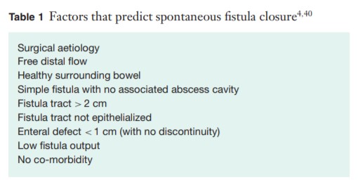 Management of enterocutaneous fistulas | Surgical Focus