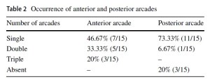 The anatomy of peripancreatic arteries and pancreaticoduodenal arterial ...