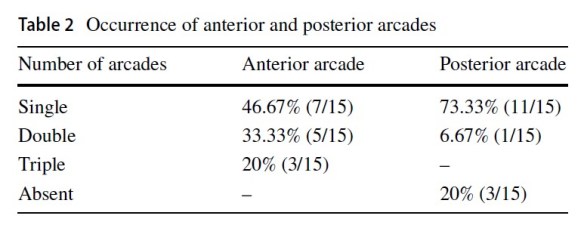 The anatomy of peripancreatic arteries and pancreaticoduodenal arterial ...