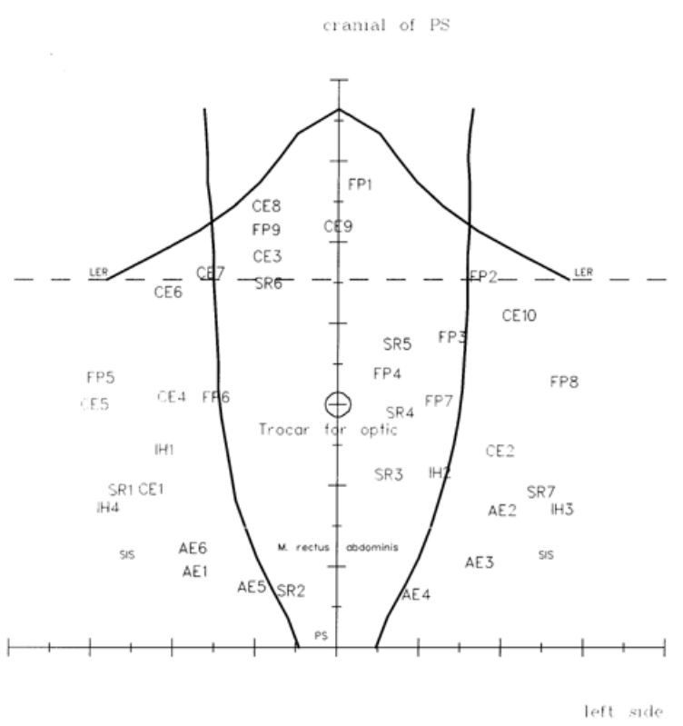 Article of interest: Anatomic guidelines for the prevention of ...