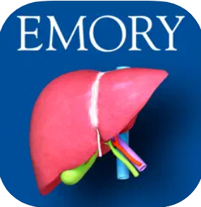 Resource Highlight: Surgical Anatomy Apps for Liver, Lung, and Male ...