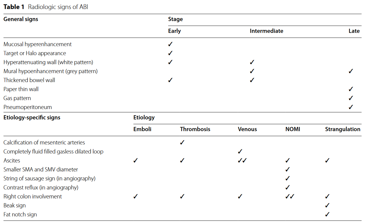ABI staging for acute bowel ischemia: Imaging findings | Surgical Focus