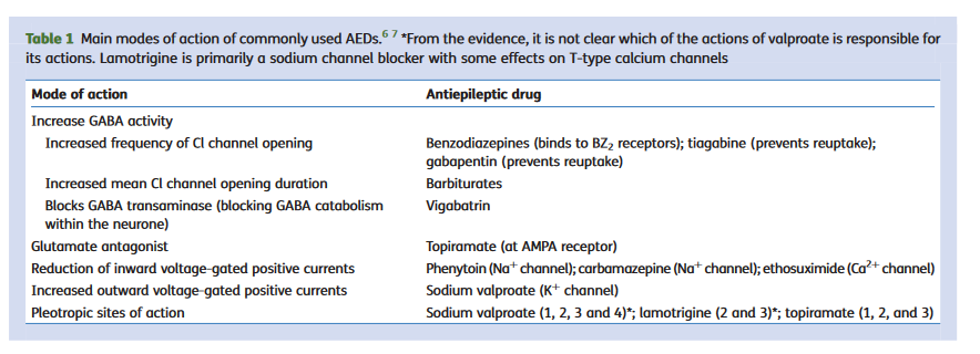 Perioperative considerations for patients with epilepsy | Surgical Focus