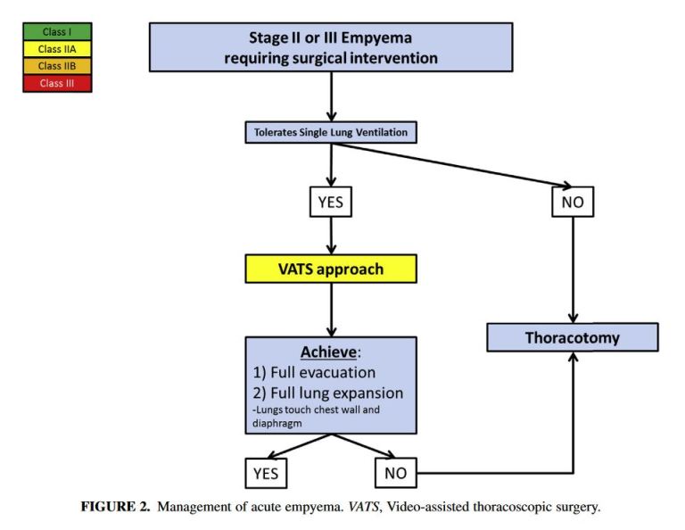 Pleural Empyema | Surgical Focus