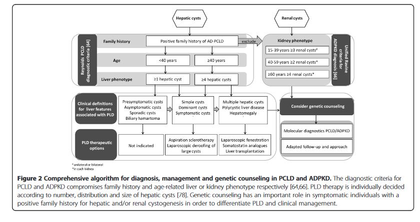 Pathogenesis and management of Polycystic liver disease | Surgical Focus