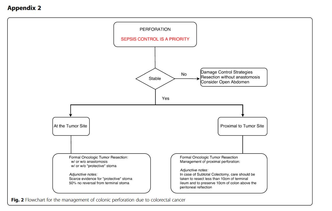 2017 WSES guidelines on colon and rectal cancer emergencies ...