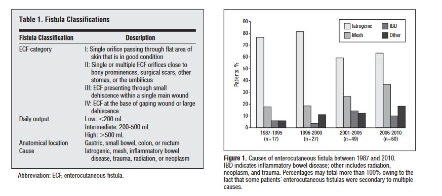Surgical Treatment of Enterocutaneous Fistula | Surgical Focus