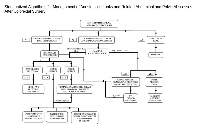 Standardized Algorithms for Management of Anastomotic Leaks and Related ...